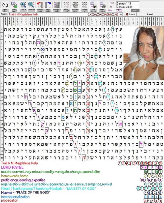 Torah Code Search Requests